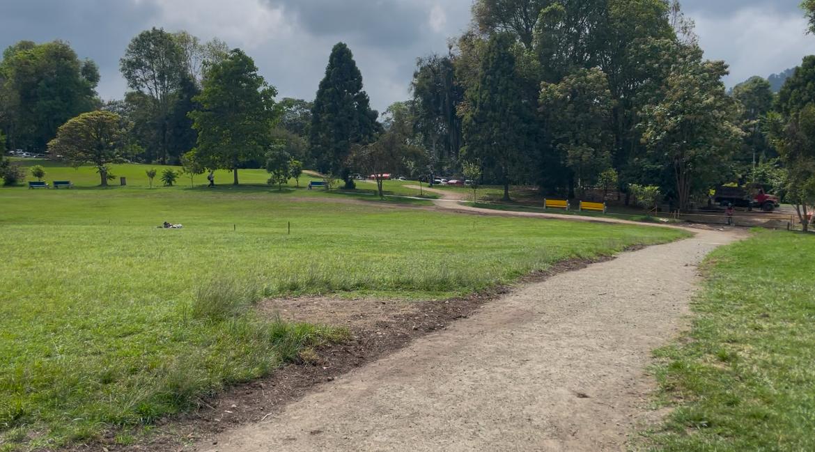 La recuperación del Bosque Popular - La Veintitrés