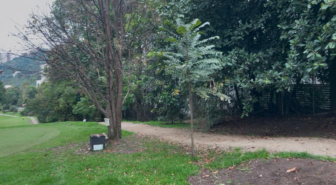 Manizales estrena pista de running en el Bosque Popular - La Veintitrés